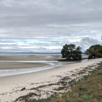 Shifting Land, Rising Seas: Beachmere Confronts Its Coastal Future ...